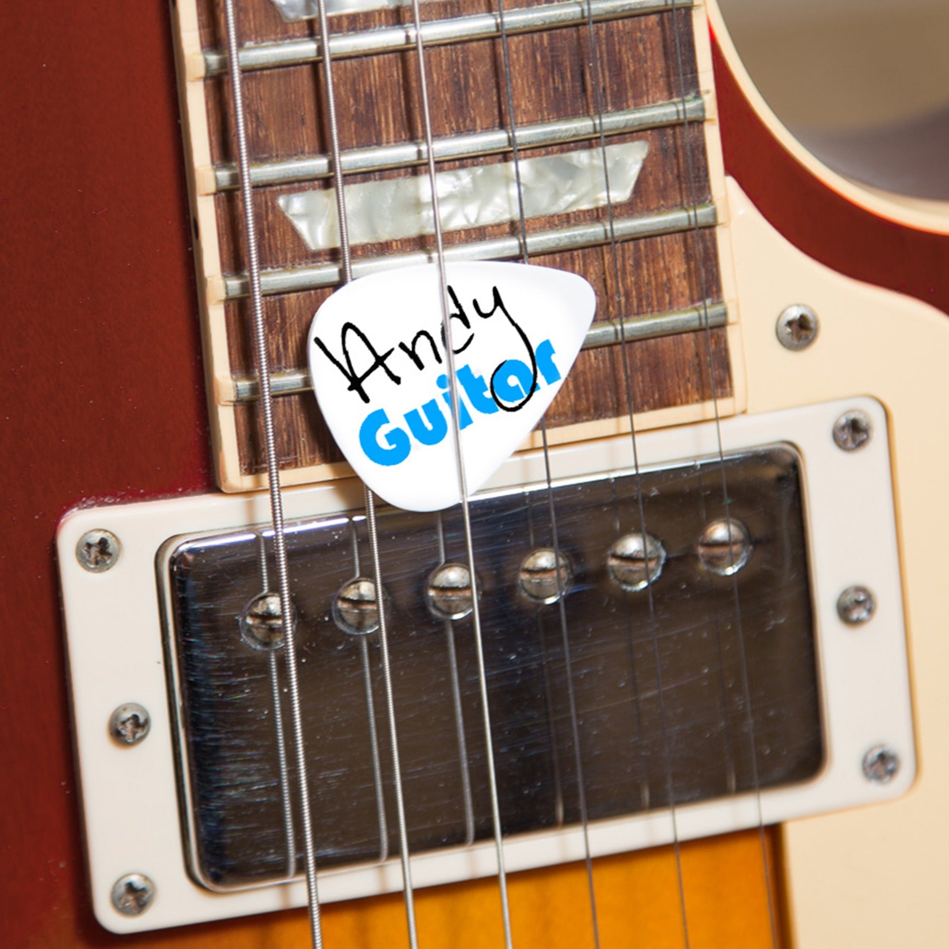 Shop | Andy Guitar – Andy Guitar Shop